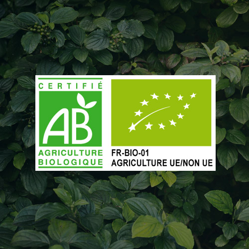 Les étapes de la certification BIO | Nat&Form